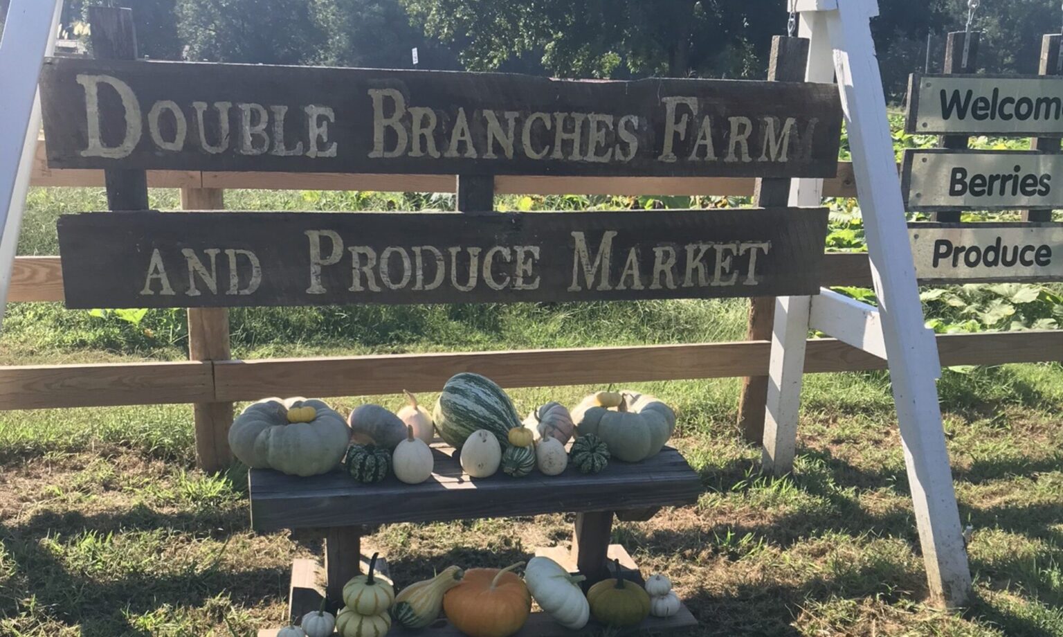 Getting Here – Double Branches Farm and Produce Market